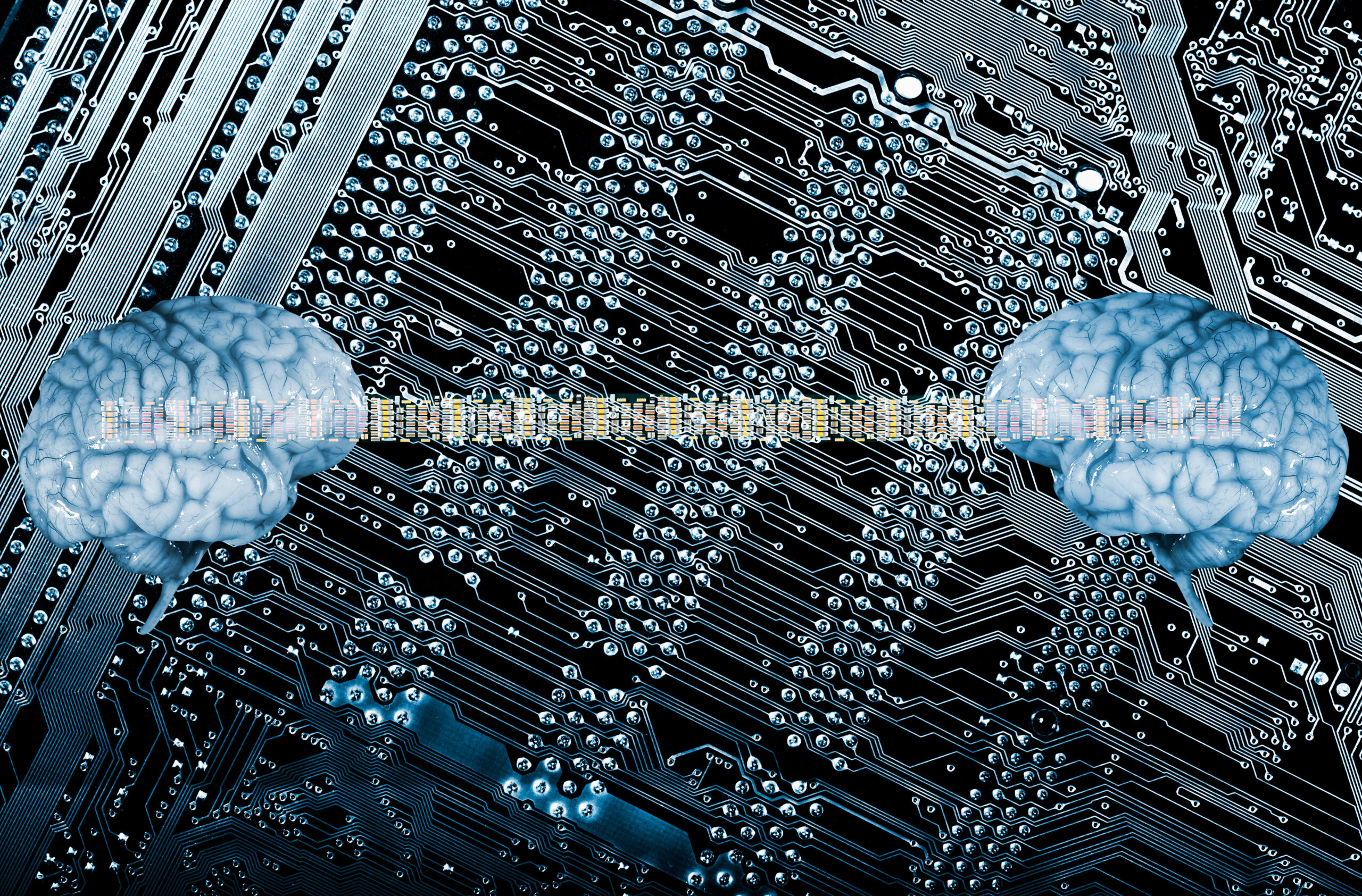 AI Meets Humanity: A Global Snapshot of Trust, Usage, and Unease